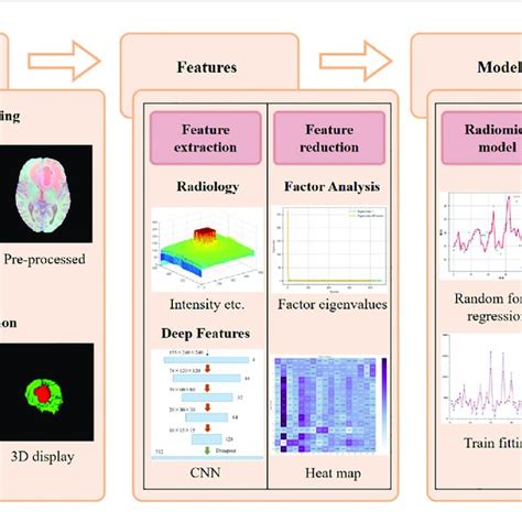 Flow Chart Of Brain Tumor Segmentation And Overall Survival