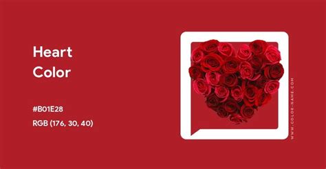 Heart Color Hex Code Is B01e28 Hex Color Codes Blog Colors Rainbow