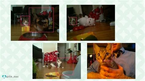 [js kongress 2016] kittycam js raspberry pi camera w cat facial de…