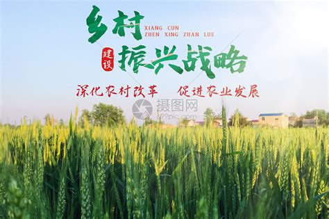 乡村振兴战略图片素材 正版创意图片401914940 摄图网