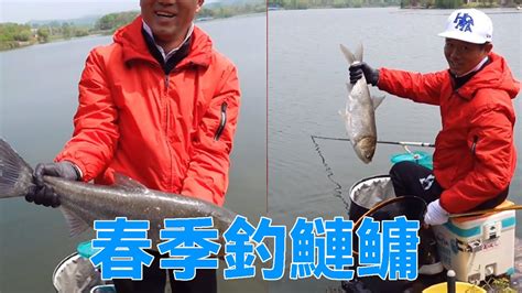 鄧剛釣魚丨聽釣友說這裡有不少20多斤的大鰱鳙，連夜開車幾百公里過來釣，看今天能否如願 Youtube