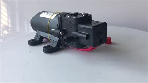 Singflo 12v Dc 35psi 전기 다이어프램 워터 펌프미니 배터리 워터 펌프세차 워터 펌프 Buy 미니 배터리