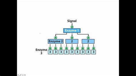 Chapter 12 Biosignaling Part Lecture Video Part 1 Youtube