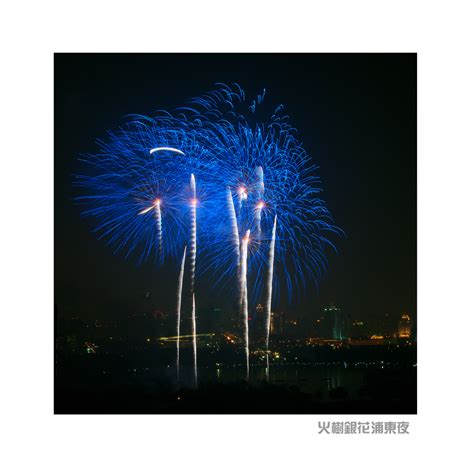 火树银花浦东夜】摄影图片】上海浦东世纪公园风光摄影太平洋电脑网摄影部落