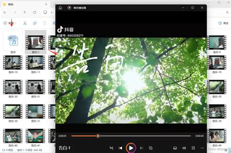 批量视频剪辑新选择一键式按照指定秒数分割视频并轻松提取视频中的音频让视频处理更高效
