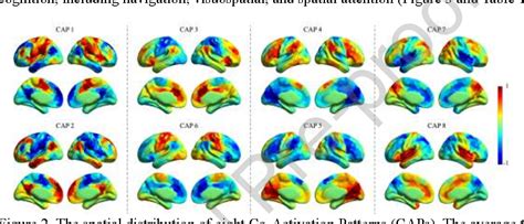 Figure 2 From Co Activation Patterns During Viewing Of Different Video