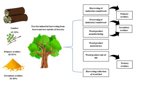 Wood Waste Production And Woody Biomass Streams From Forest Land Base