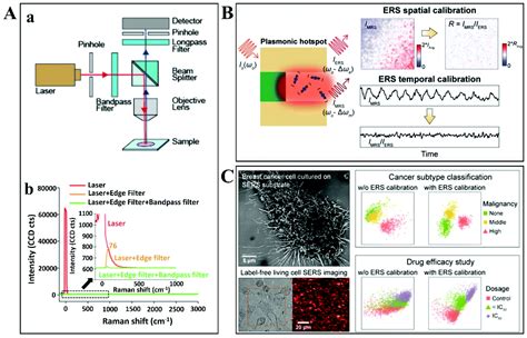Spectroscopy For Detection Bacteria At Noah Stretch Blog