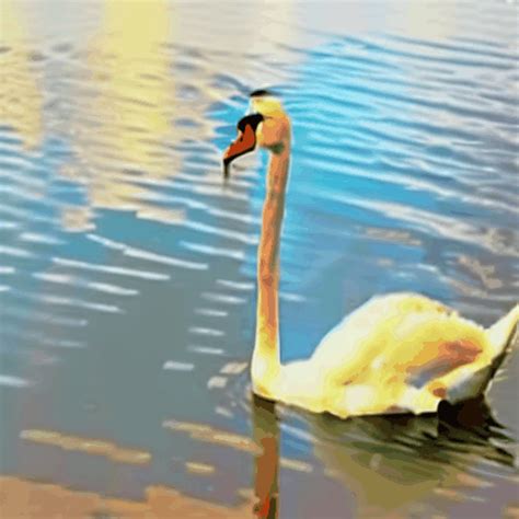 Denoising Reuse Exploiting Inter Frame Motion Consistency In Efficient