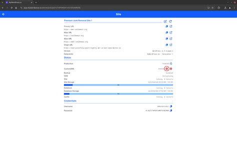 Custom Dns Mywordpress Documentation
