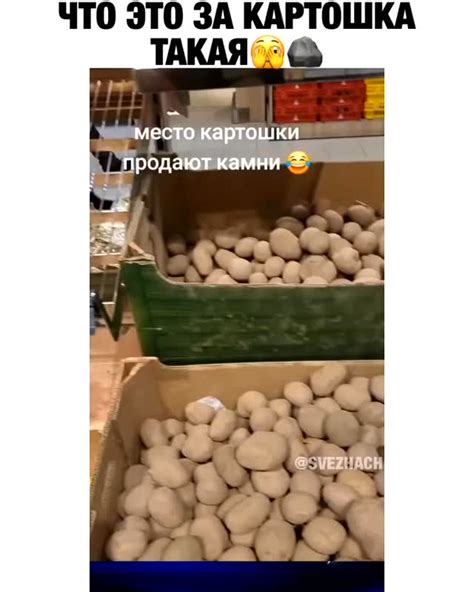 Hop Vidosiki Автор напиши для отметки в Whats App Instagram