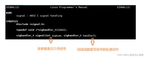 Linux系统Linux进程信号详解 linux信号 CSDN博客