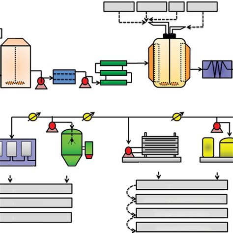 Pdf Production Of High Quality Probiotics By Fermentation