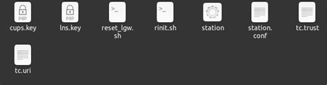 cannot connect ttn server · issue 153 · lorabasics basicstation · github