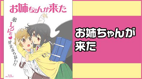 お姉ちゃんが来たシリーズ Dアニメストア