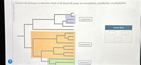 Solved 6∞ ﻿examine The Phylogeny To Determine Which Of The