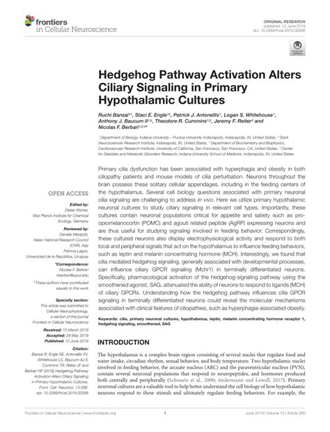 Pdf Hedgehog Pathway Activation Alters Ciliary Signaling In Primary