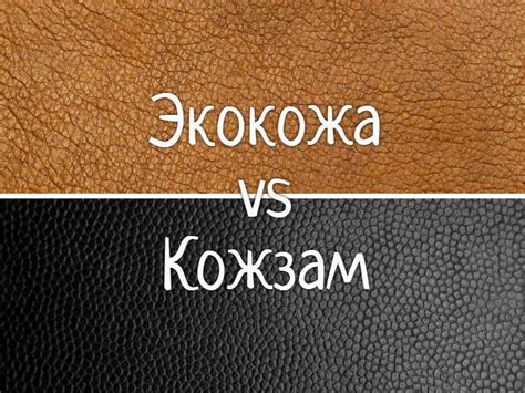 Уход за экокожей, как отличить от кожи и кожзама: ее виды и преимущества