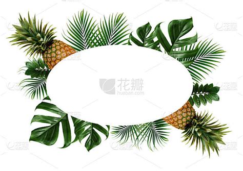 白色背景上的热带绿叶框架