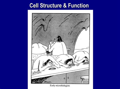 Lab 2 Cell Structure And Microscopy Ppt