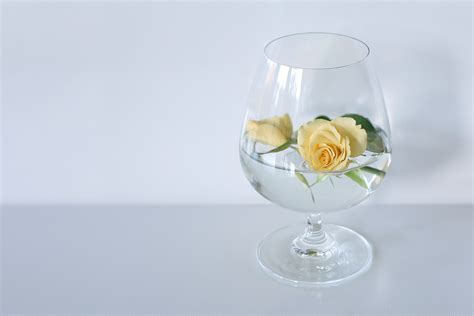 รูปภาพ ดอกไม้ กระจก ดอกกุหลาบ สีเหลือง แสง วัสดุ ค็อกเทล เดคโค แก้วไวน์ ความรวดเร็ว