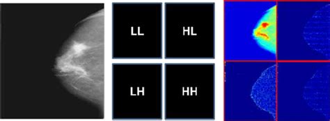 The Two Dimensional Discrete Wavelet Transform In Four Directions For