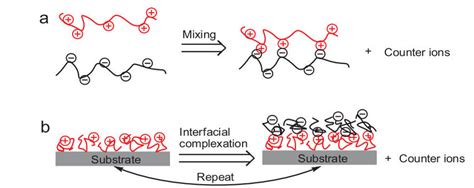 17 Polyelectrolytes Complexes Formation Via A Mixing Method And B