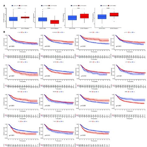 Mutation And Expression Correlation A Mutation And Expression There