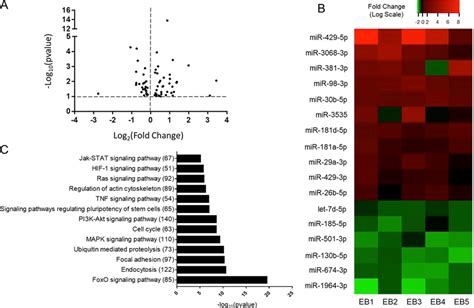 Small RNA Sequencing Analysis To Identify Differentially Expressed Download Scientific Diagram