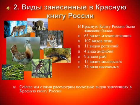 Красная книга России 2 класс презентация онлайн