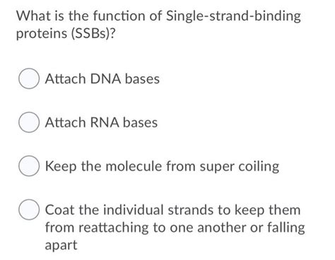 Solved What Is The Function Of Single Strand Binding