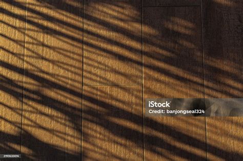 햇빛 그림자가 있는 나무 바닥 배경 고해상도 질감과 야자수 잎 그림자가 있는 부드러운 갈색 테이블의 평면도 텍스트 또는 디자인을 위한 빈 공간이 있는 여름 테이블 배경