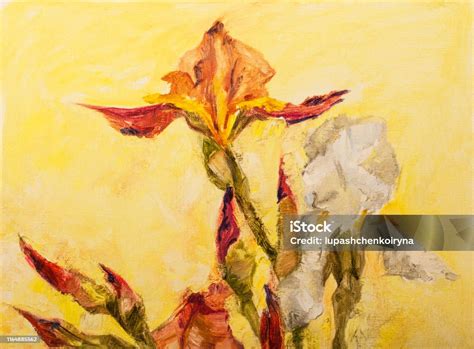 유행 봄 일러스트 비유 꽃 현대 미술 인상주의 내 원래 유화 캔버스 인상주의 수평 비유 상징적 인 삶은 흰색과 빨간색 창포를 꽃 정물 사진에 대한 스톡 벡터 아트 및 기타