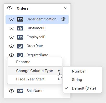 Data Column Formatting Embedded BI Bold BI Docs