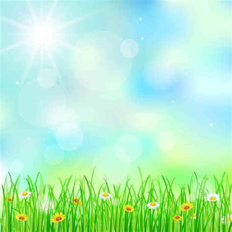 Spring Grass Wallpapers Top Free Spring Grass Backgrounds Wallpaperaccess