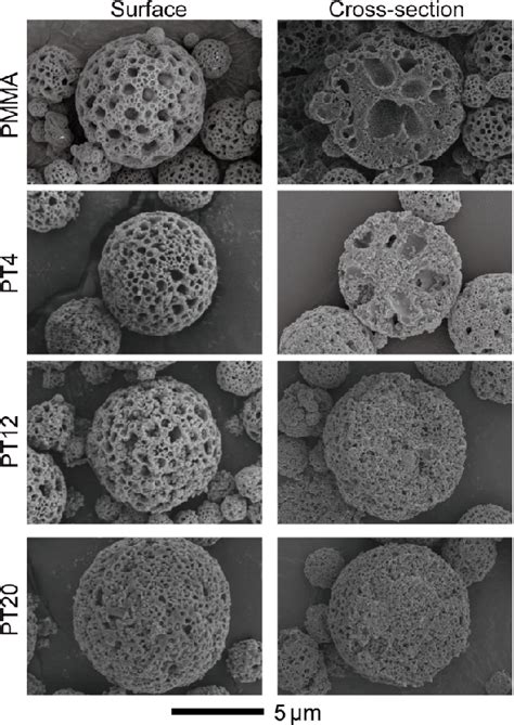 Figure 1 From Preparation Of Porous Pmmatio 2 Microspheres By Spray