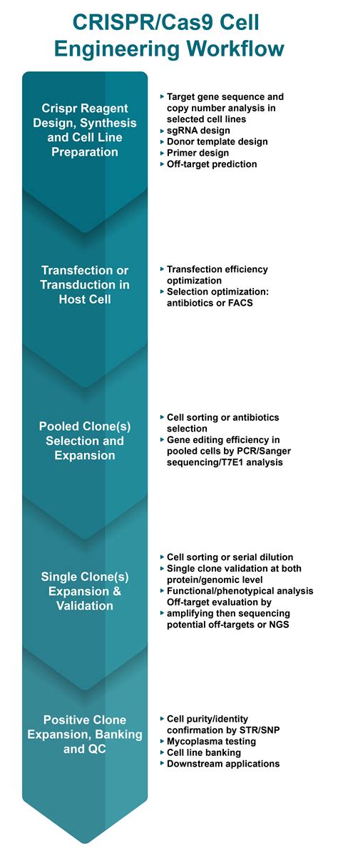 Crispr Cas9 Gene Editing Services Precision And Efficiency Crown