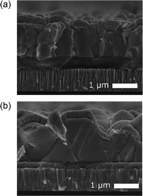 Cross Sectional Scanning Electron Micrograph Of A Complete Solar Cell