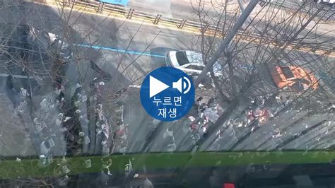 실시간 교대생들 시위중 유머 움짤 이슈 에펨코리아