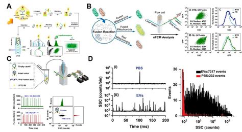 Nano Flow Cytometry Nfcm Service Creative Biostructure