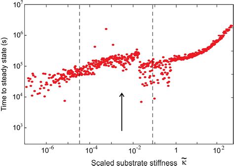 Steady State Graph