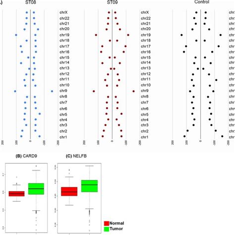 Pipeline For Wgbs Data Analysis Download Scientific Diagram
