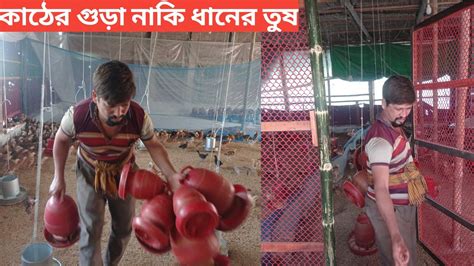 ব্রুডিংয়ে কাঠের গুড়া নাকি ধানের তুষ দিবেন মুরগী পালন পদ্ধতি Poultry Farming Techniques