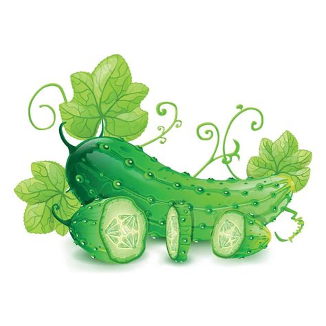 Cucumber Vector Illustration 18734012 Vector Art At Vecteezy