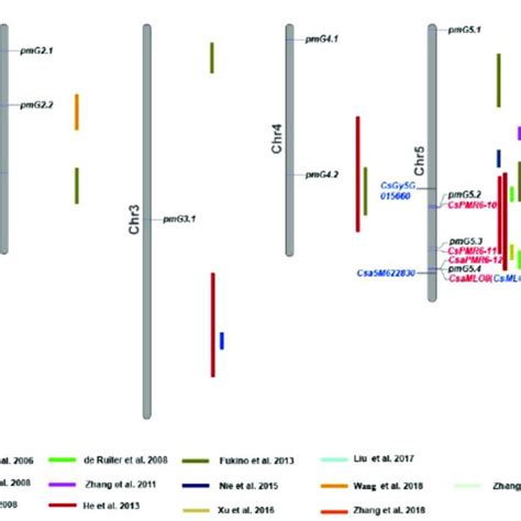 Overview Of Predicted Cucumber Genes In The Mapped Genetic Loci For Download Scientific Diagram