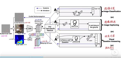 Cam，pradcam，layer Cam（可解释性分析方法） Layercam Csdn博客