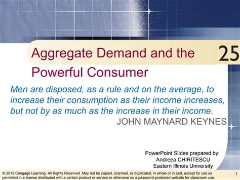 Chapter 25 Aggregate Demand And The Powerful Consumer Ppt