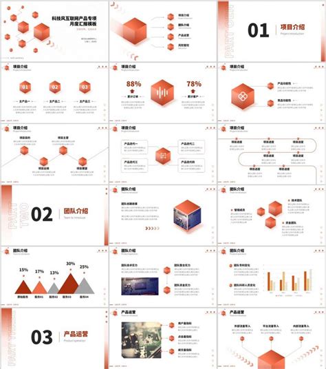 项目介绍ppt：这个项目我王多鱼投了！ 逼格ppt