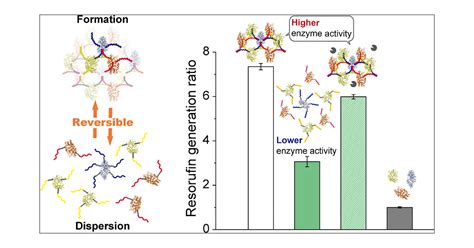 Control Of Reversible Formation And Dispersion Of The Three Enzyme Networks Integrating Dna