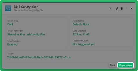 How Do I Create A Dns Canarytoken Thinkst Canary